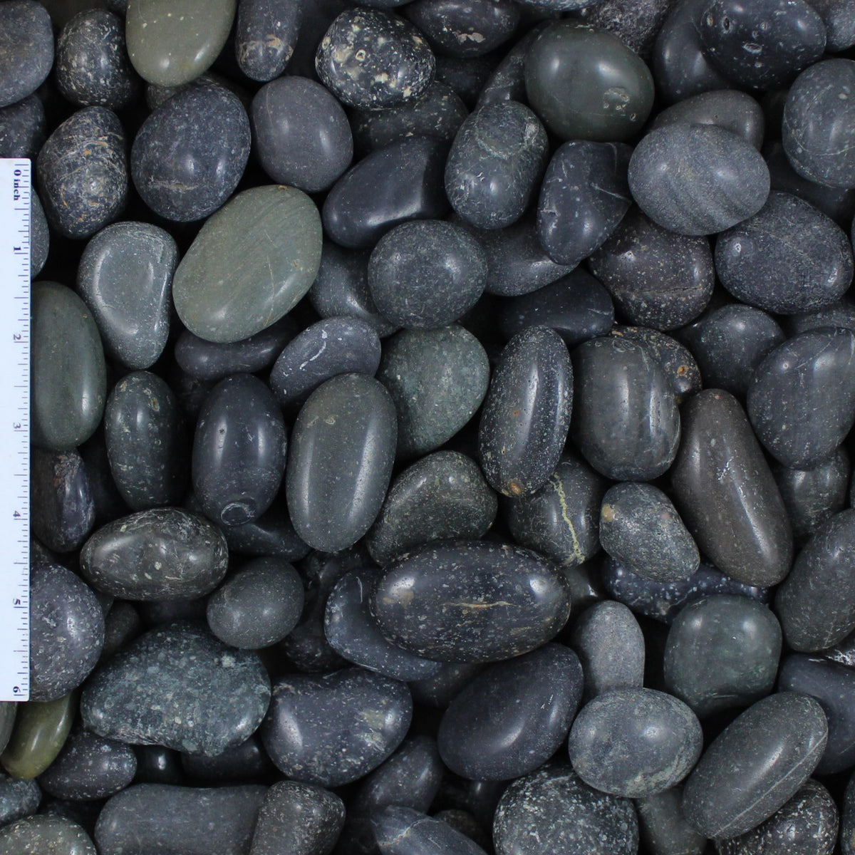 Polished Black Mexican Beach Pebble Sample 1 2