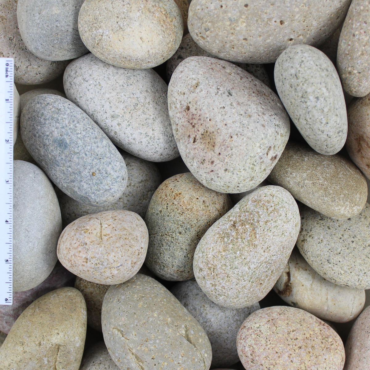 Buff Beach Pebble Sample (1/2"-1", 1"-2", 2"-3", and 3"-5") | Online ...