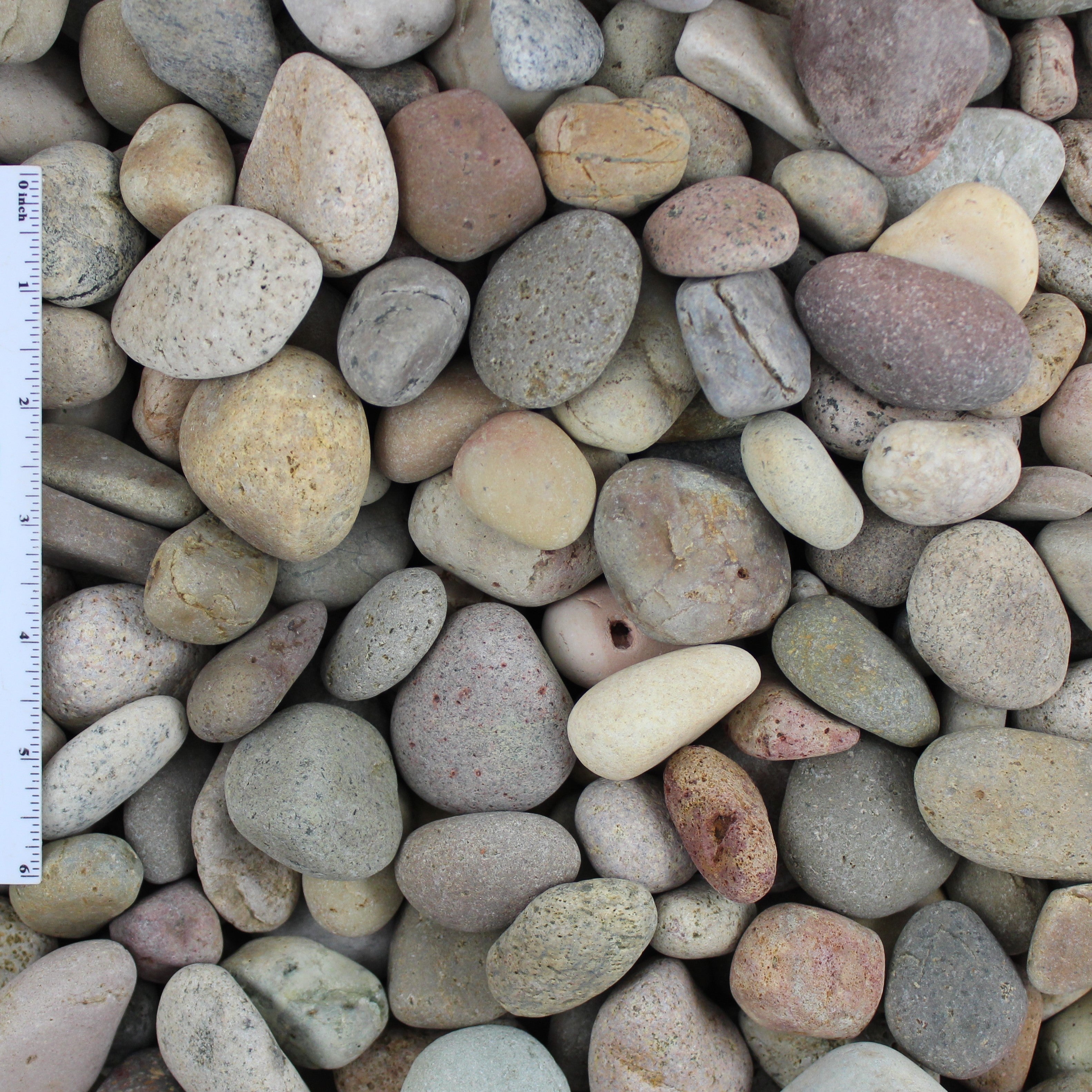 Round Rock | Online Stone Solutions