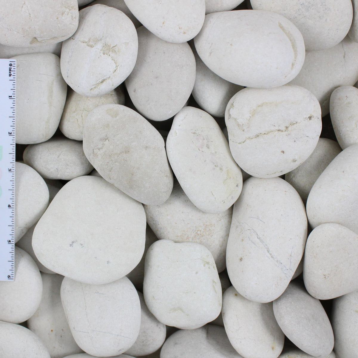 Ivory Pebble Sample (1/2"-1", 1"-2", and 2"-3") | Online Stone Solutions