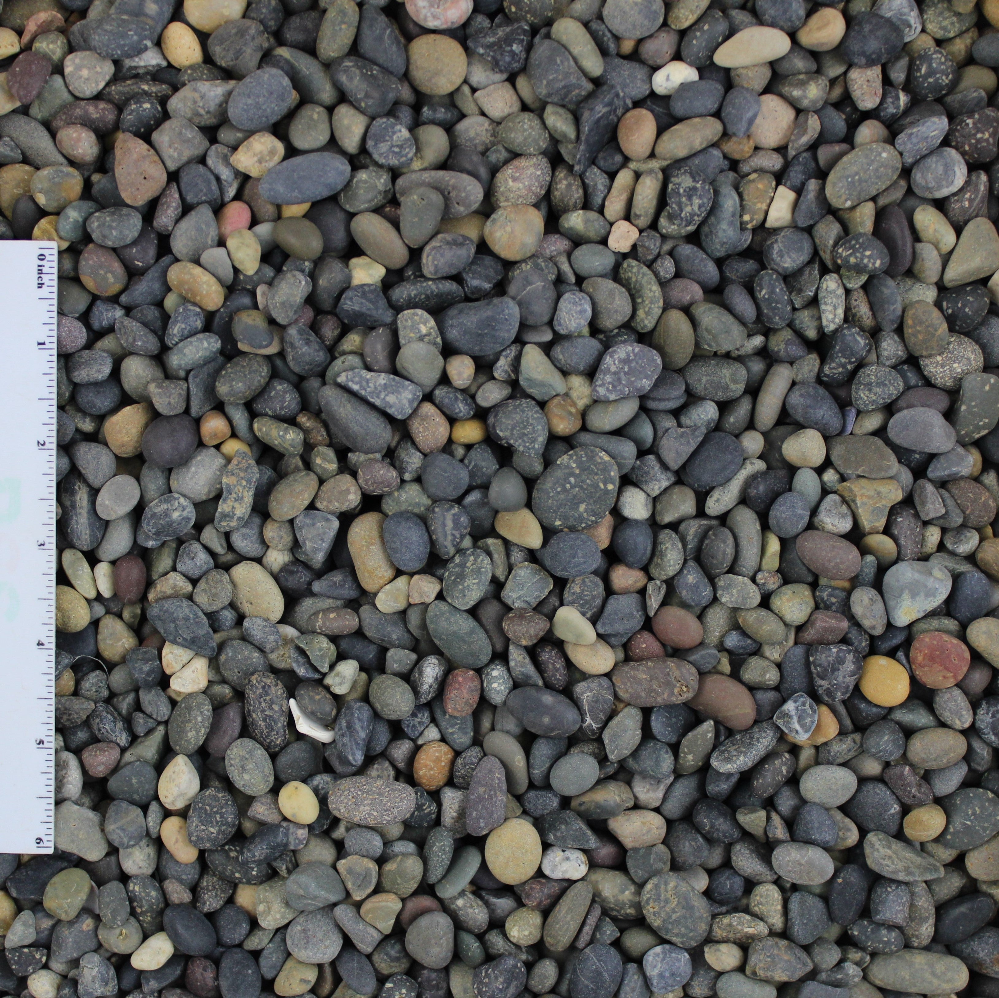 La Paz Pebbles for Landscaping | Online Stone Solutions