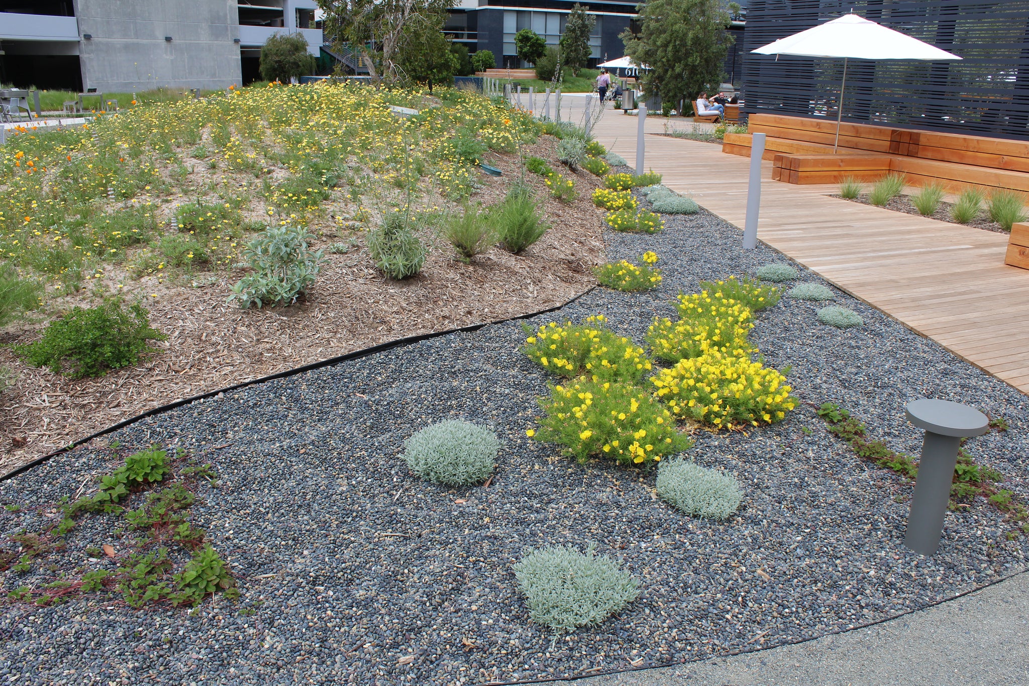 La Paz Pebbles for Landscaping | Online Stone Solutions