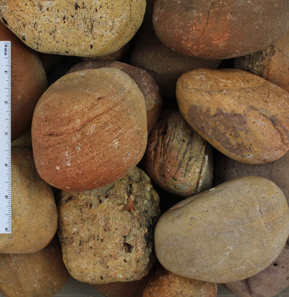 Mexican SunbursMexican Sunburst Pebbles for home, landscaping and ...