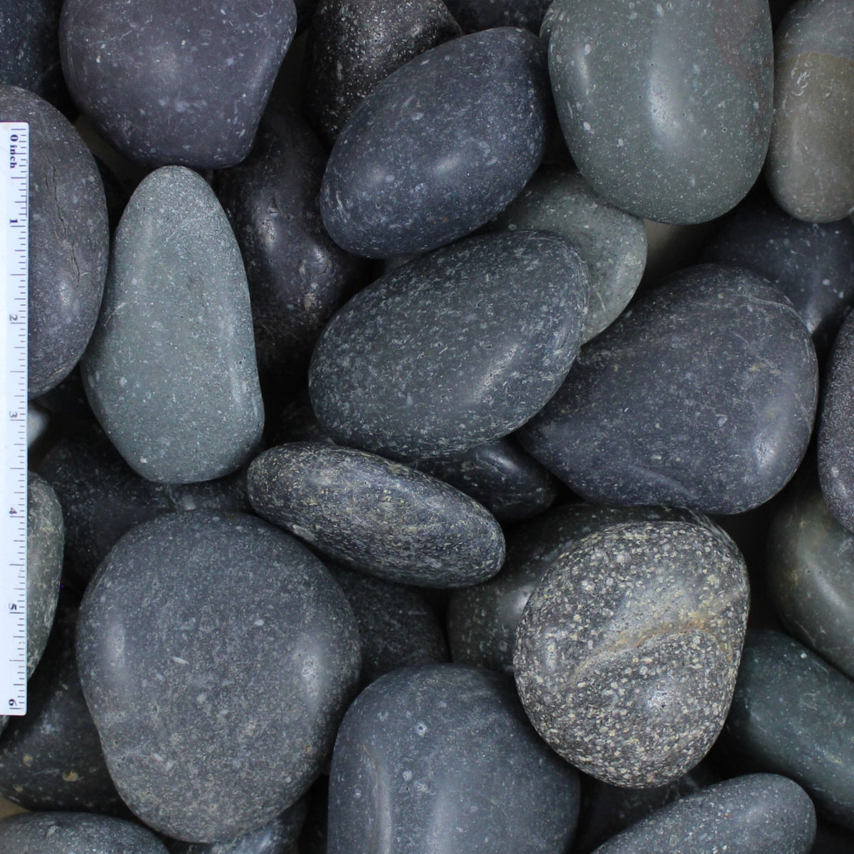 Polished Black Mexican Beach Pebble Sample (1/2"-1", 1"-2", and 2"-3 ...