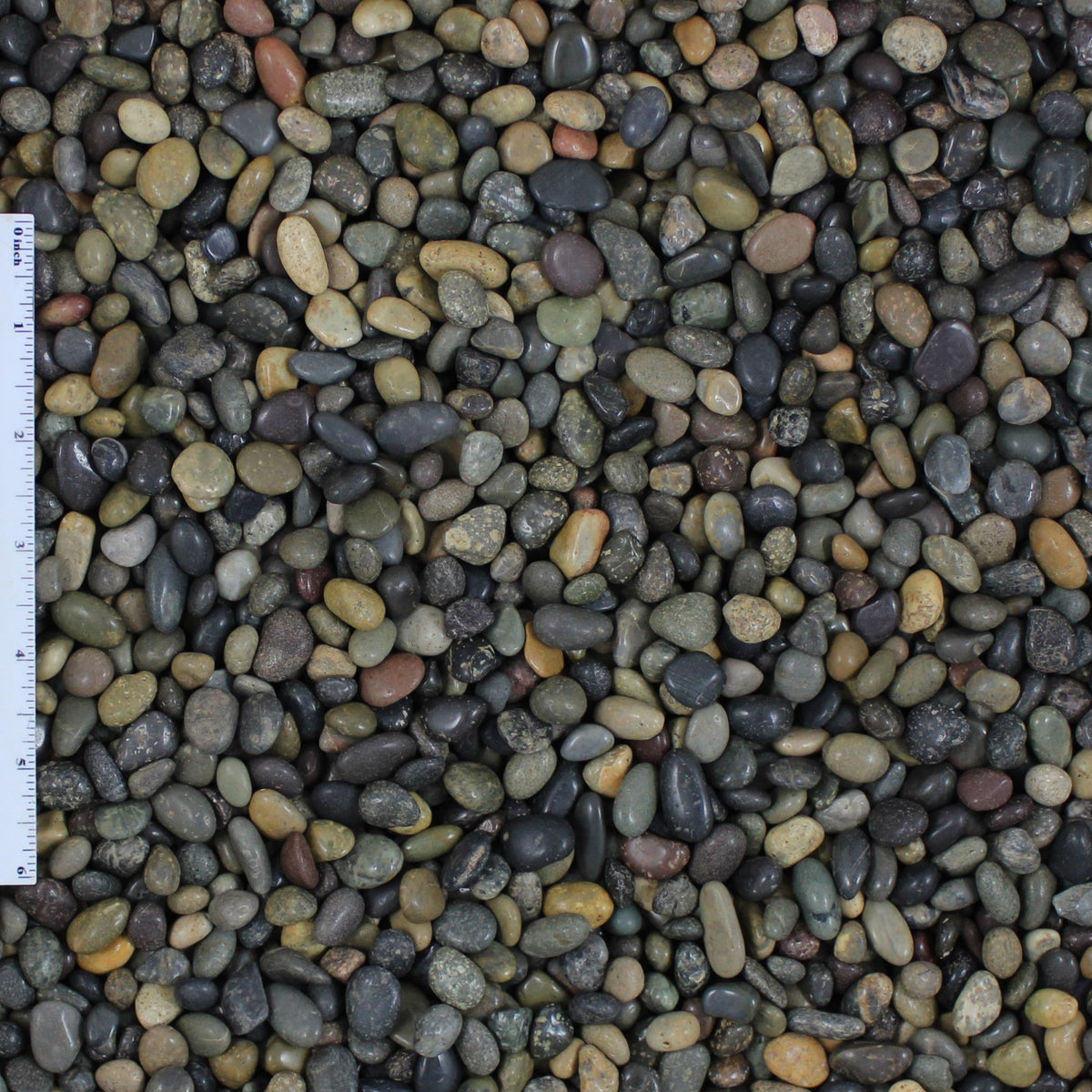 Polished La Paz Pebbles for Landscaping | Online Stone Solutions