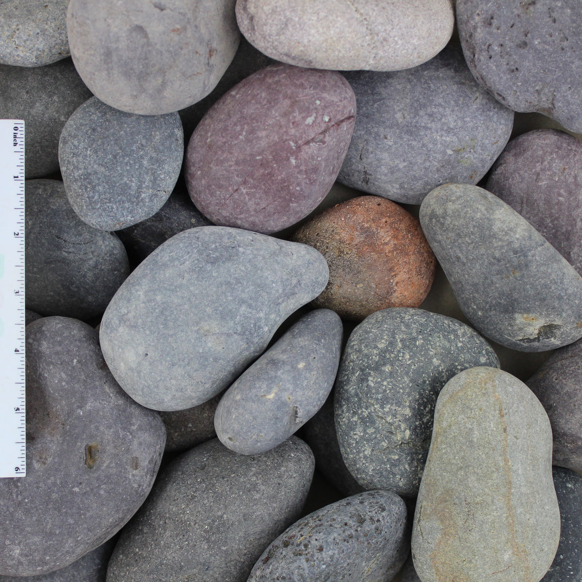 Red Beach Pebble Sample (1"-2", 2"-3", & 3"-5") | Online Stone Solutions