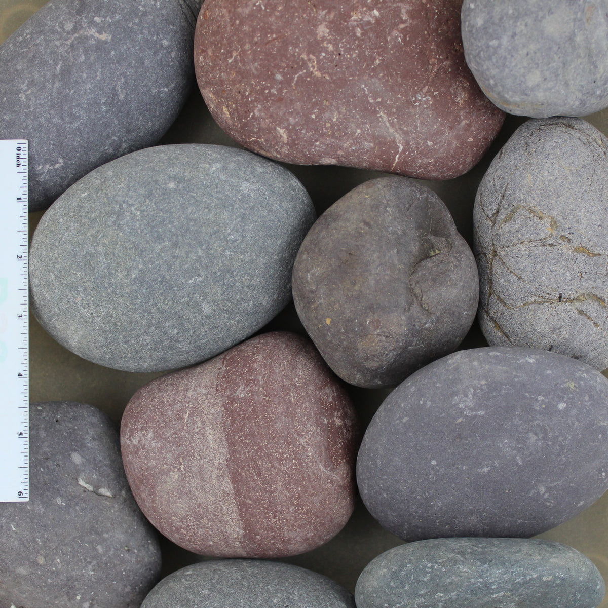 Red Beach Pebbles Decorative Pebbles - Online Stone Solutions
